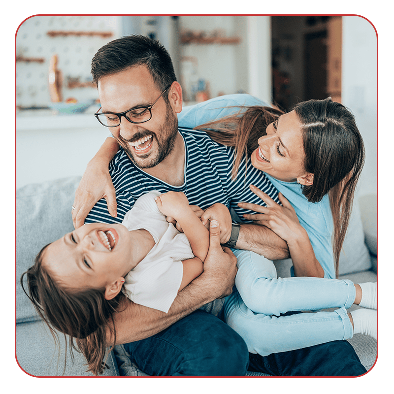Termite Control - Simpsonville Termite Control Action pest Control